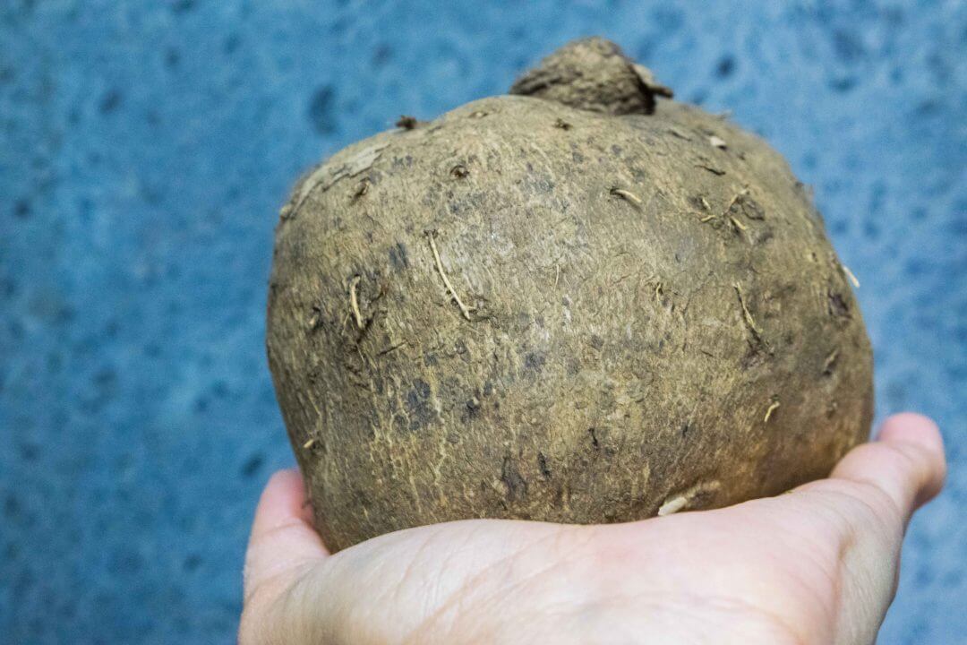 Ratalu Sandwich - Gluten free and Vegan - Nidhi Patel